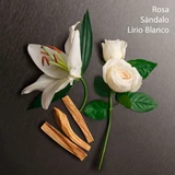 Calvin Klein Eternity Luxurious Body Lotion - SweetCare Bangladesh