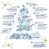 Digex Plus Food Supplement with Digestive Enzymes - SweetCare Laos