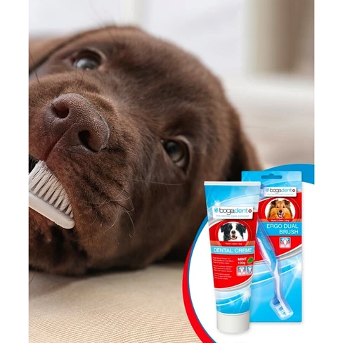 Bogar Bogadent Ergo Dual Brush for Dog - SweetCare Ireland