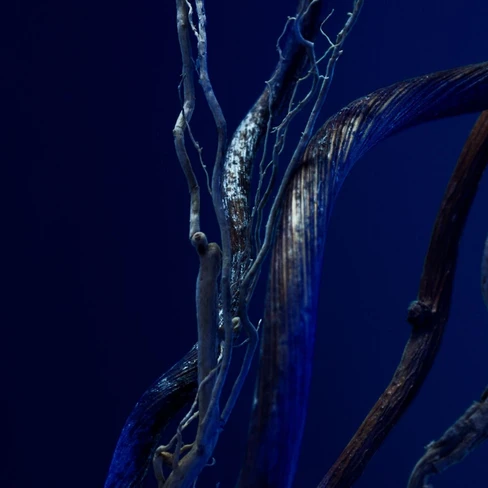 Hugo Boss Boss Bottled Triumph Elixir Parfum Intense for Men ...