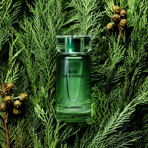 Karl Lagerfeld Bois de Cyprès Eau de Toilette - SweetCare Samoa