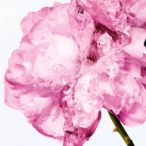 Dior Miss Dior Comforting Body Milk with Rose Wax - SweetCare Ethiopia