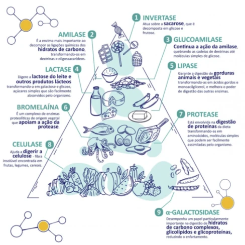 Digex Plus Food Supplement with Digestive Enzymes - SweetCare Dominica