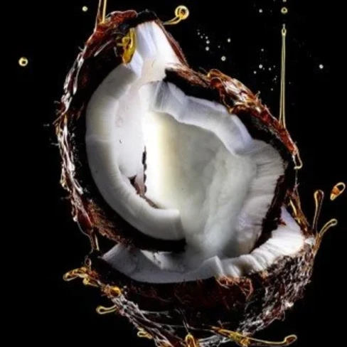 Elvive Extraordinary Coconut Oil Light Nourishing Shampoo - SweetCare ...