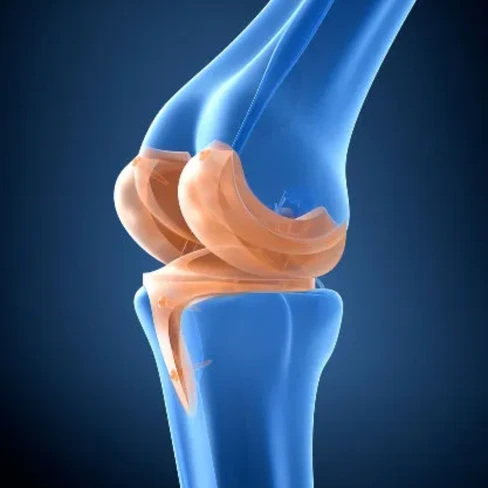 Aquilea Joints Forte-Dol Regen Food Supplement for Mobility - SweetCare ...