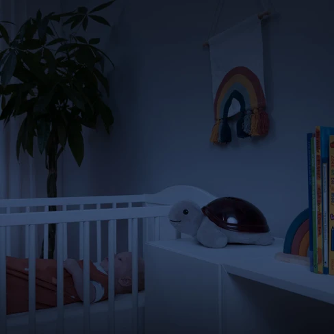 Tim The Turtle Sunset Projector with Melodies - ZAZU | Buy at Sweetcare ...